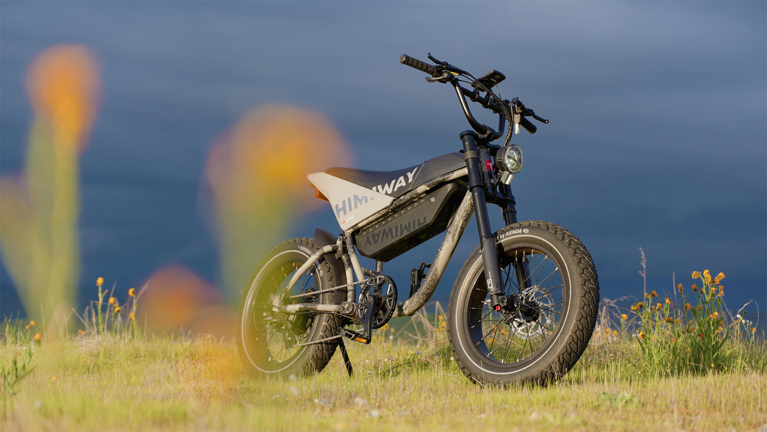 E-Bike-Motor: Wie viel Nm sollte ein E-Bike haben? | Himiway